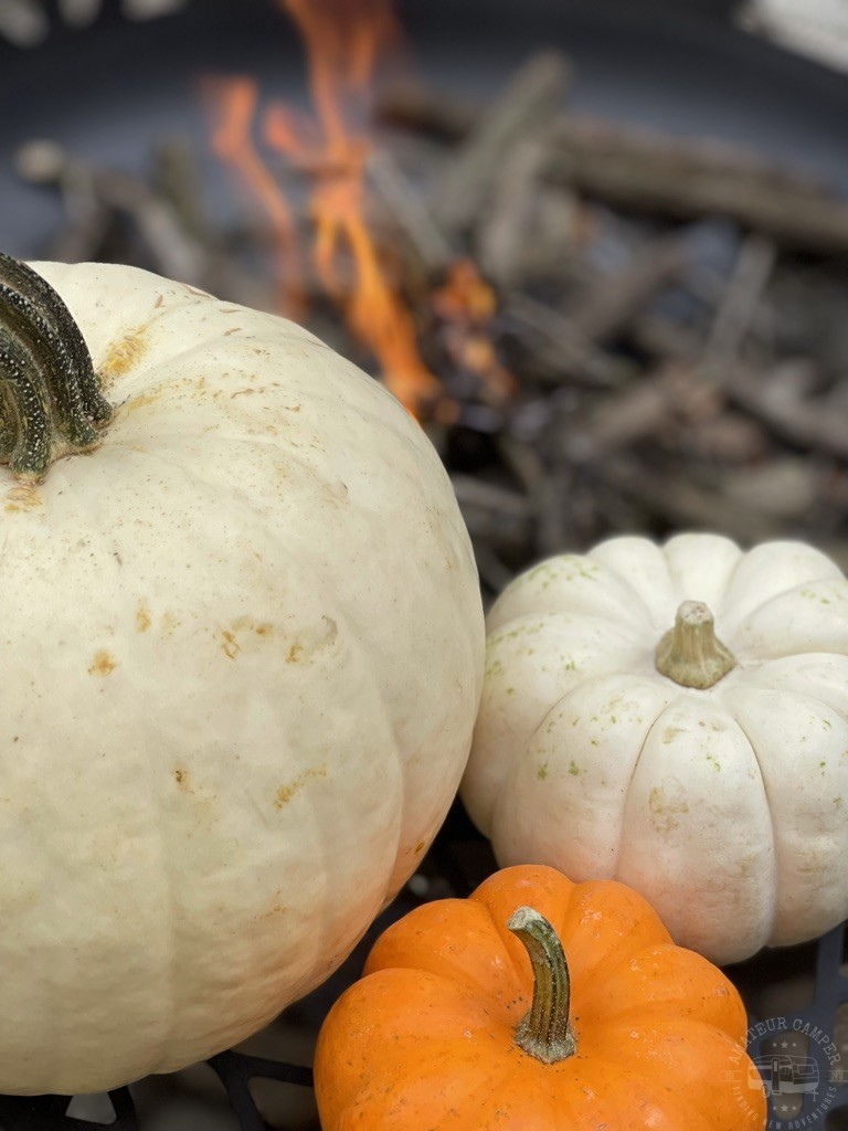 Discover These Cozy Camping Finds for the Fall - Amateur Camper Camping ...