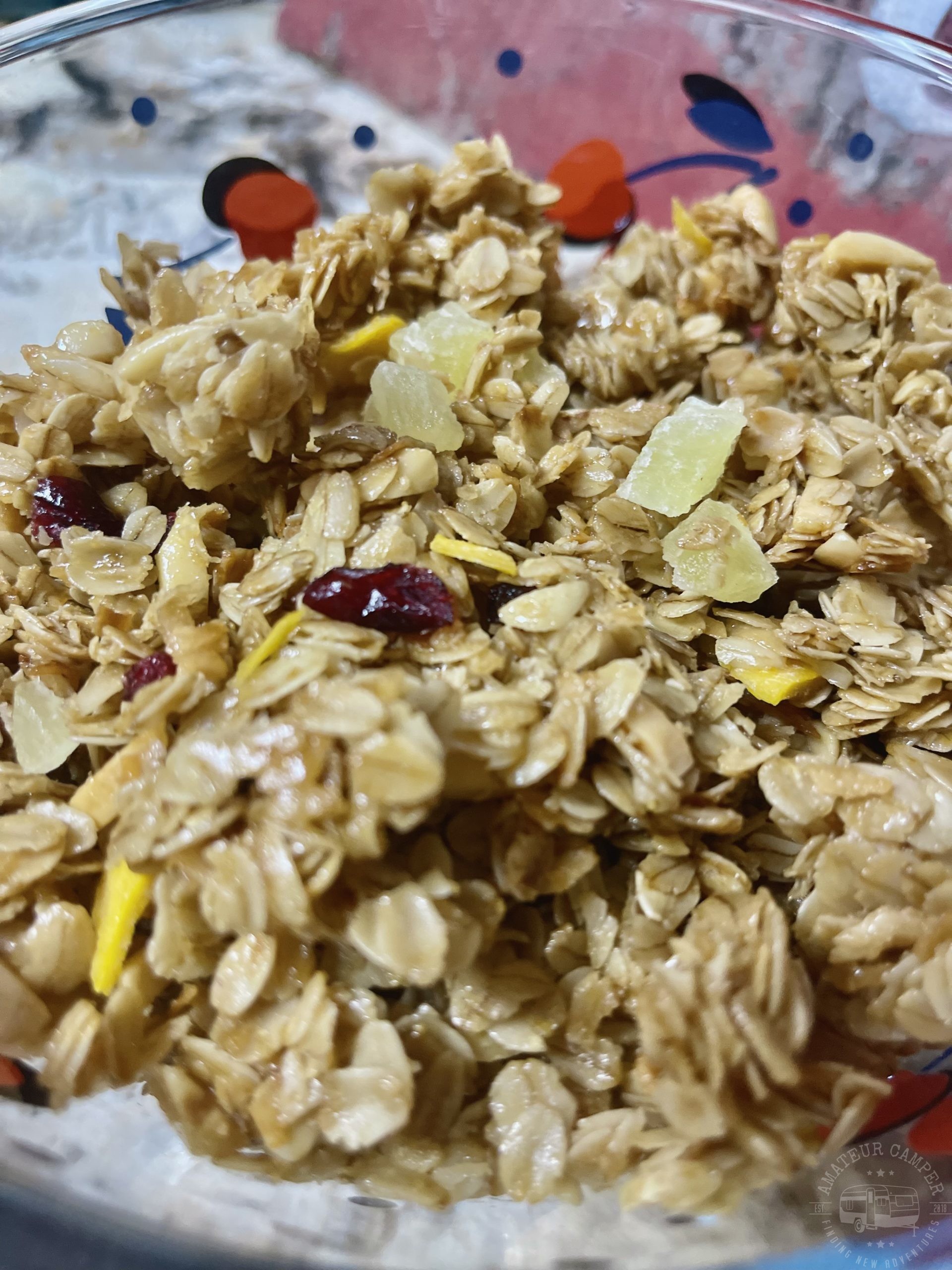Easy To Make Tropical Granola Mix - Amateur Camper