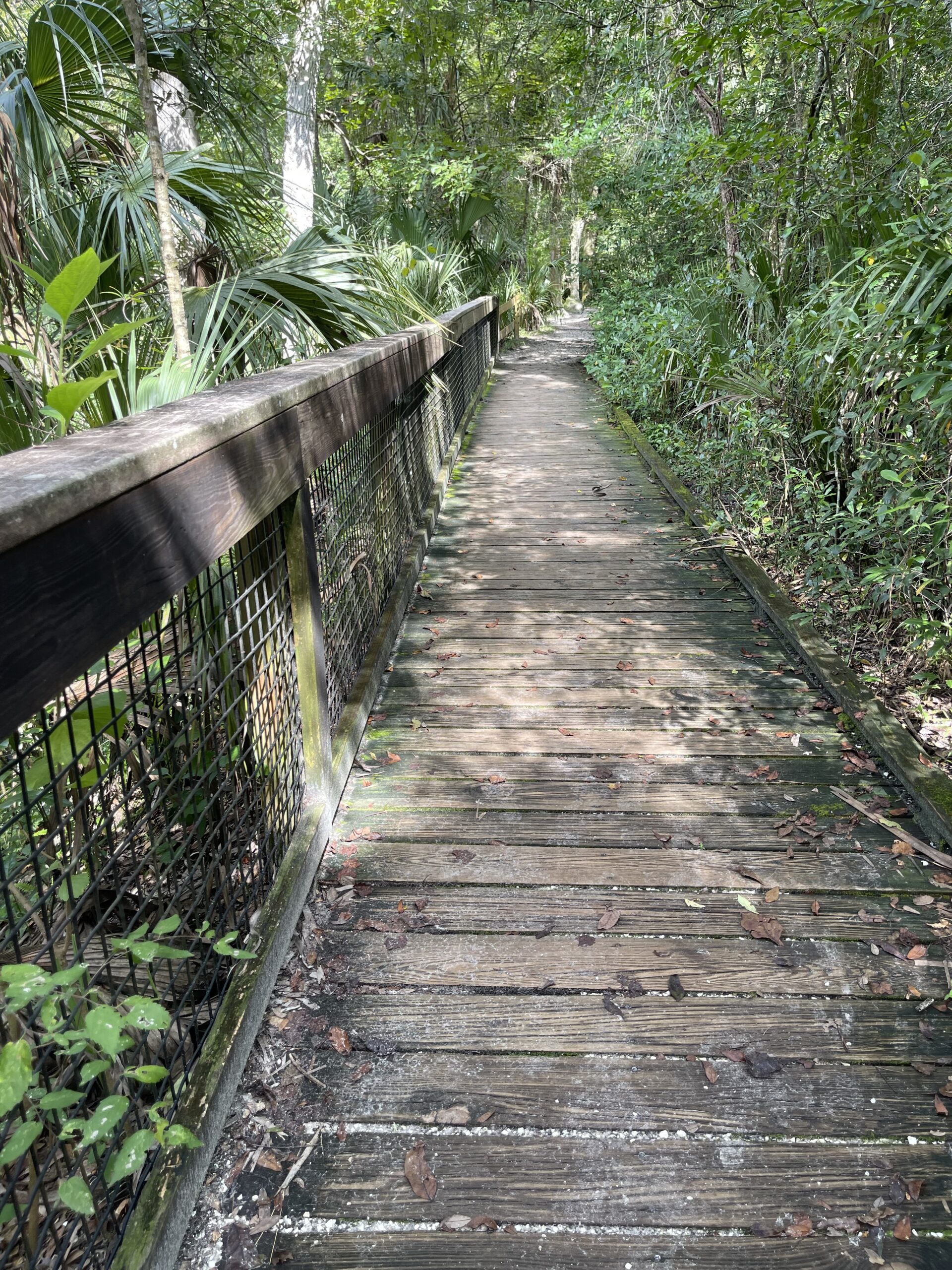Find the Best Scenic Hiking Trails in Florida - Amateur Camper